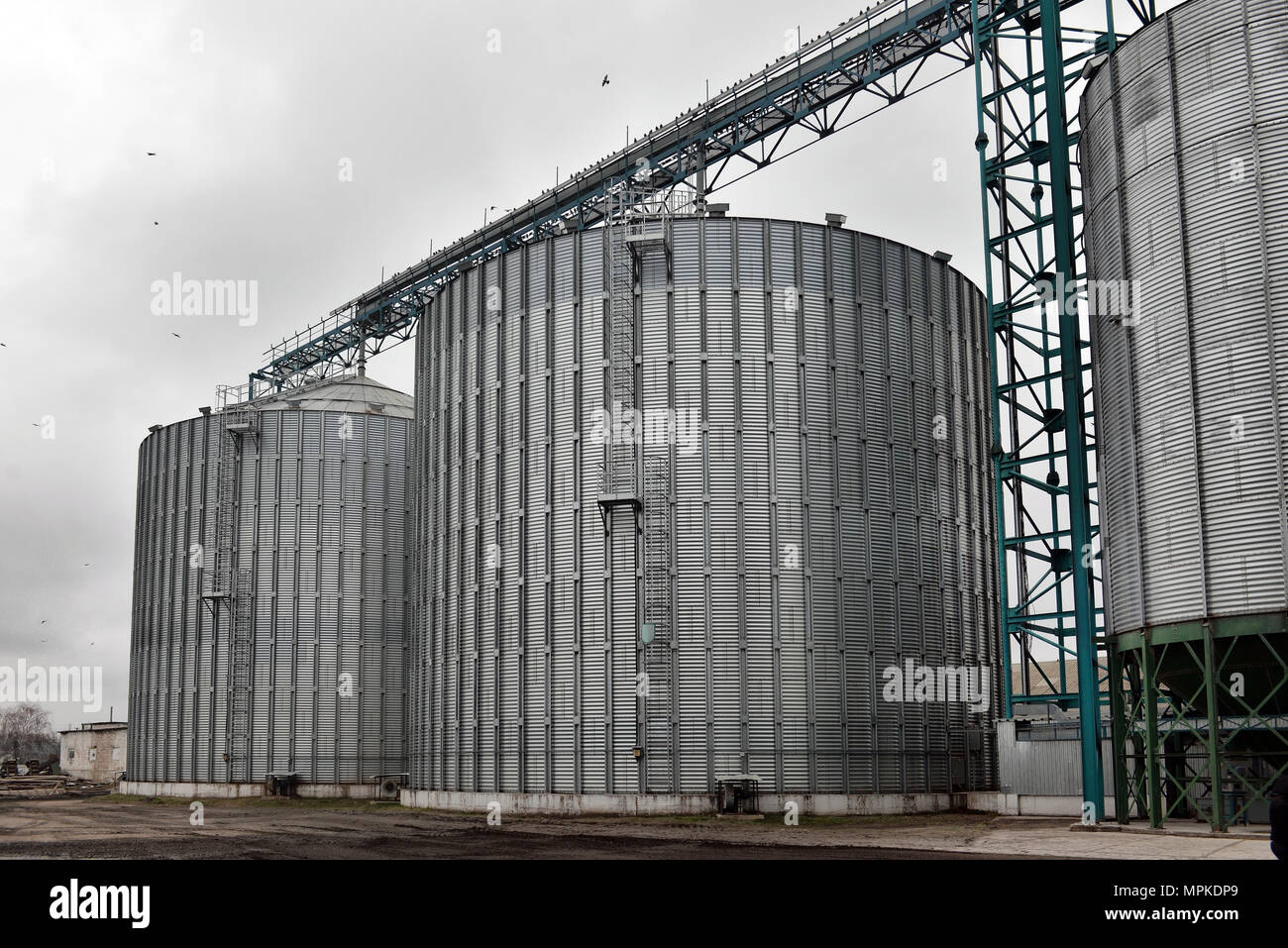 Agricultural Silo - Building Exterior, Storage and drying of grains ...