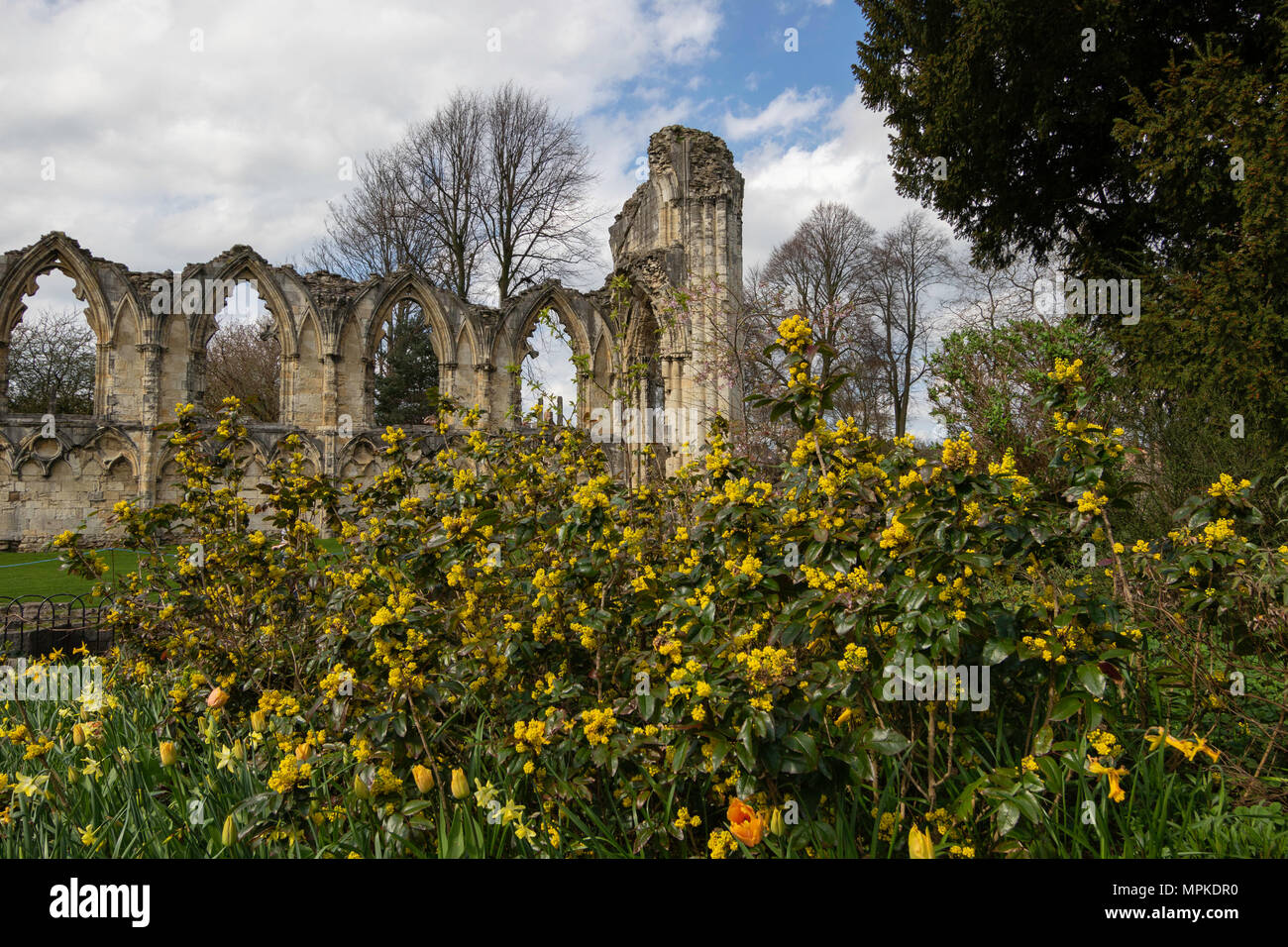 Viking york remains hi-res stock photography and images - Alamy