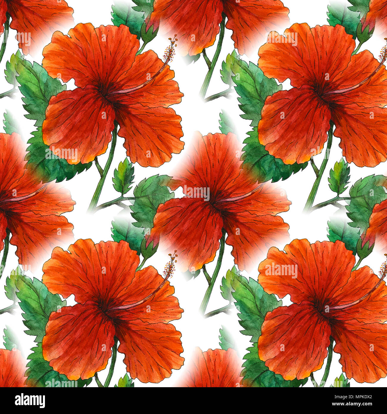 Watercolor original painting of red hibiscus pattern Stock Photo - Alamy