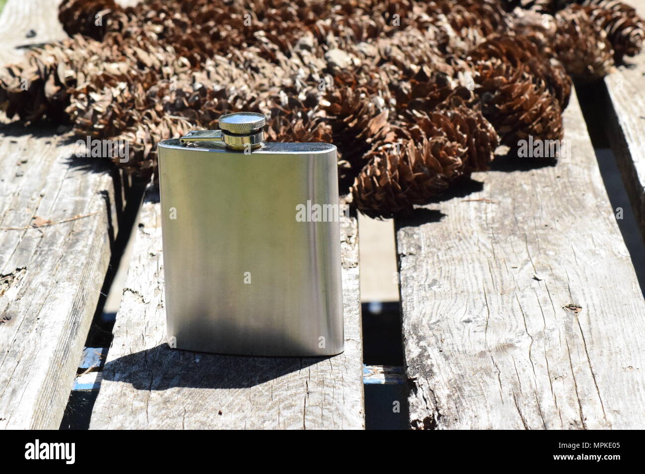 Upright cones hi-res stock photography and images - Alamy