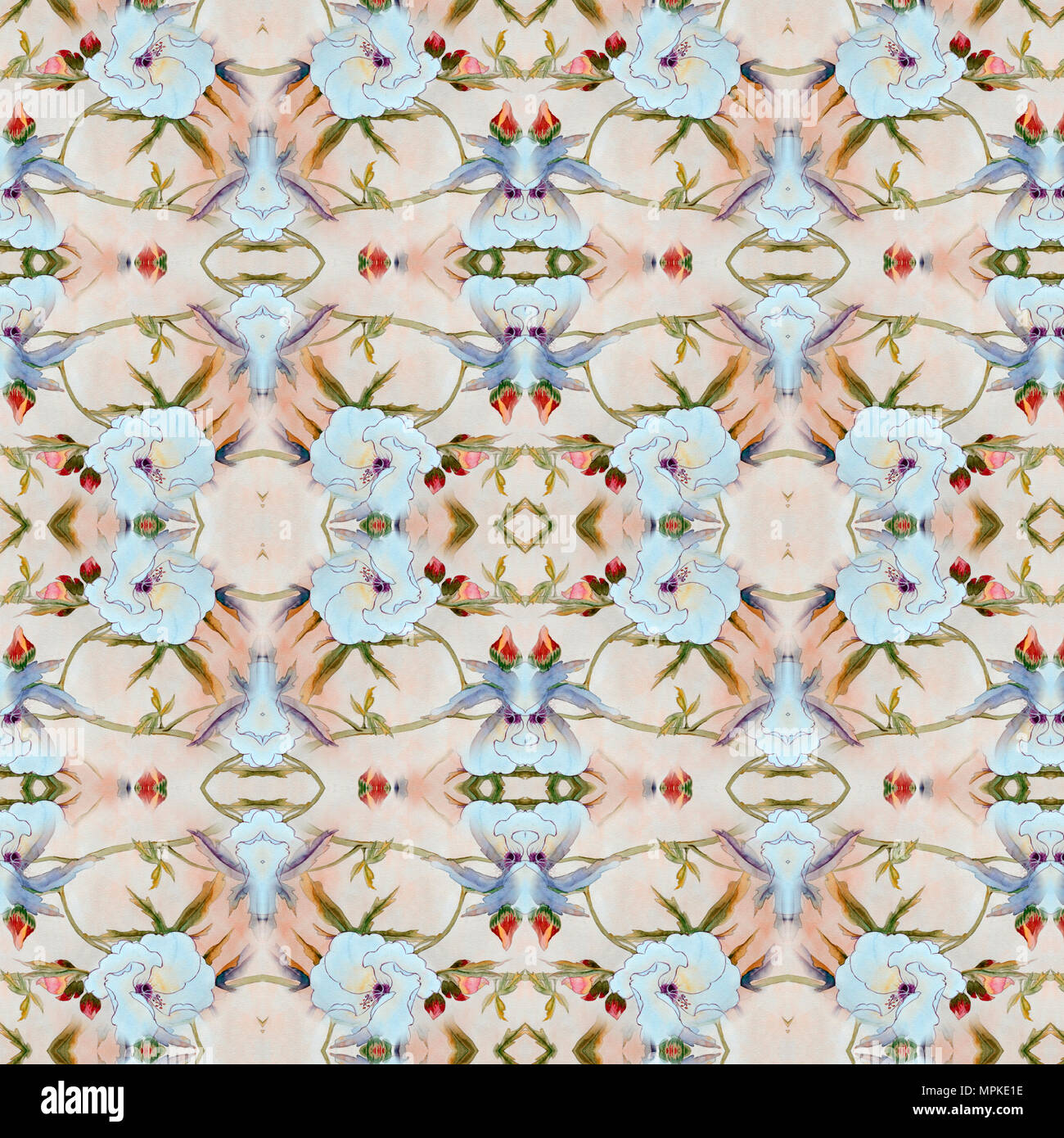 White hibiscus flower pattern, watercolor painting Stock Photo - Alamy