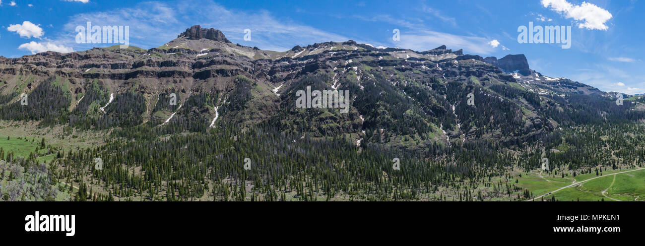 Pine forest at the base of the Rocky Mountains in Cody, Wyoming Stock ...