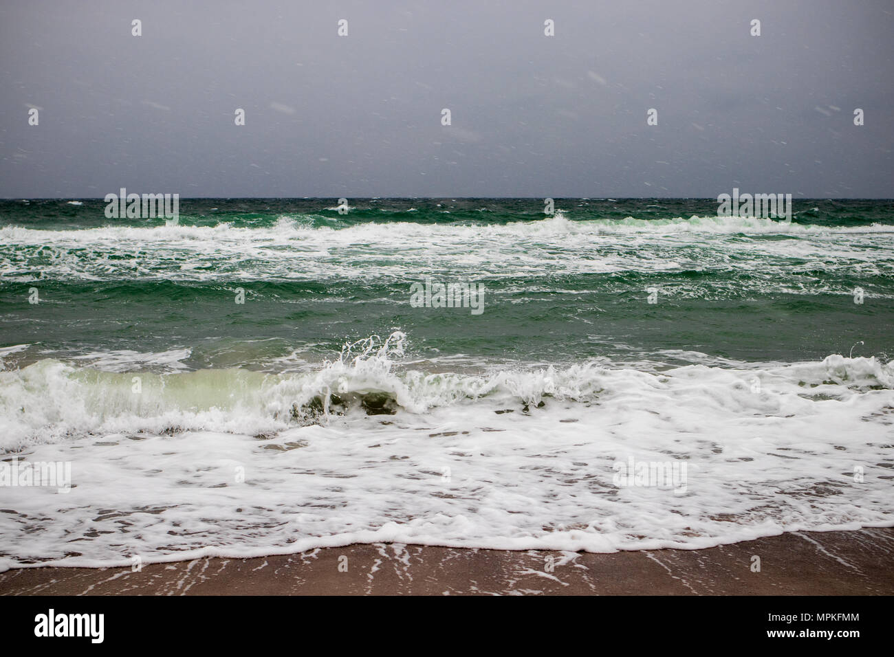 Winter overcast seascape with foamed green waves during snowfall. Ocean ...