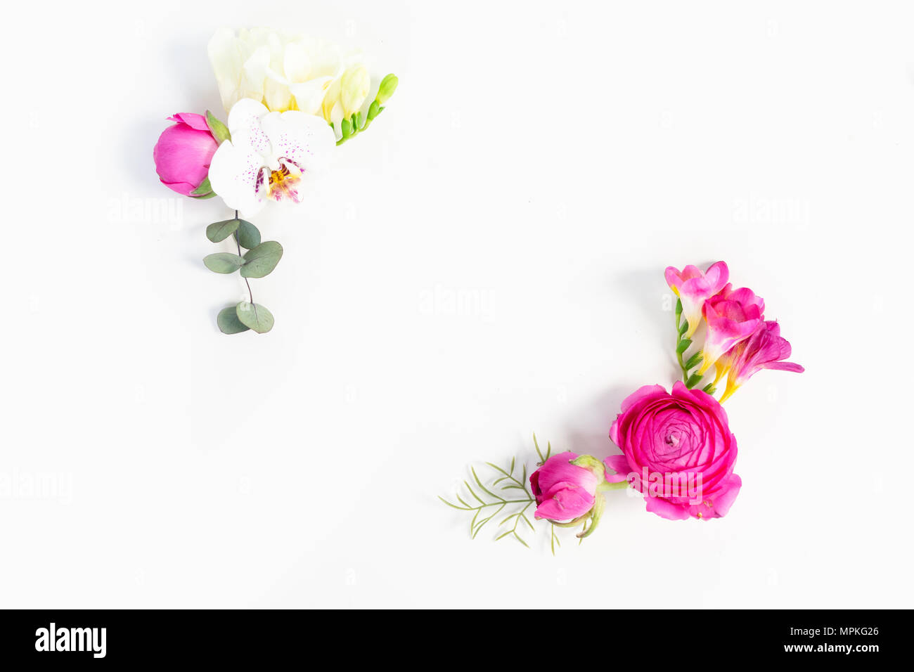 White roses leaves composition Cut Out Stock Images & Pictures - Alamy