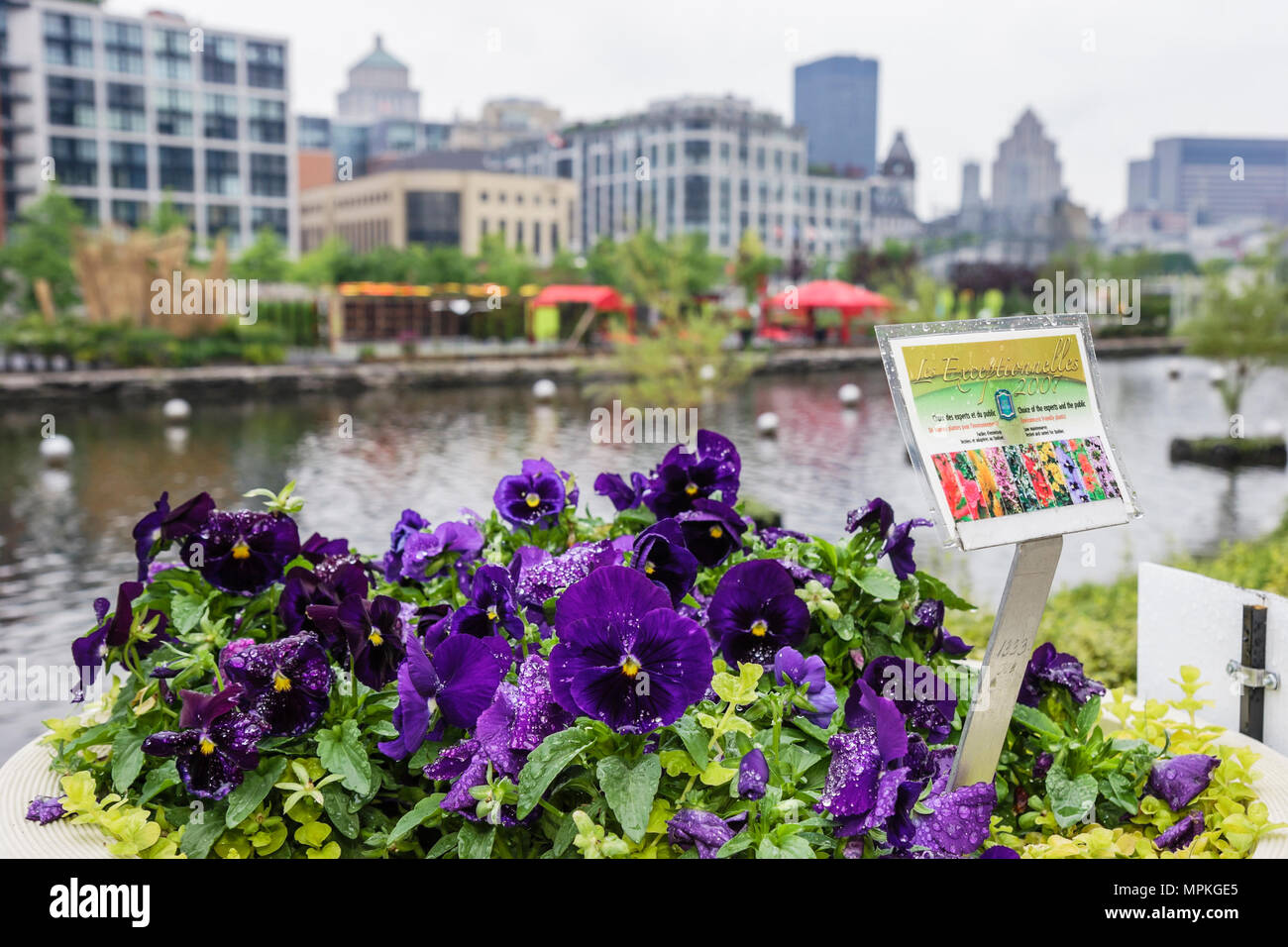 Montreal Canada,Quebec Province,International Flora Montreal Garden ...