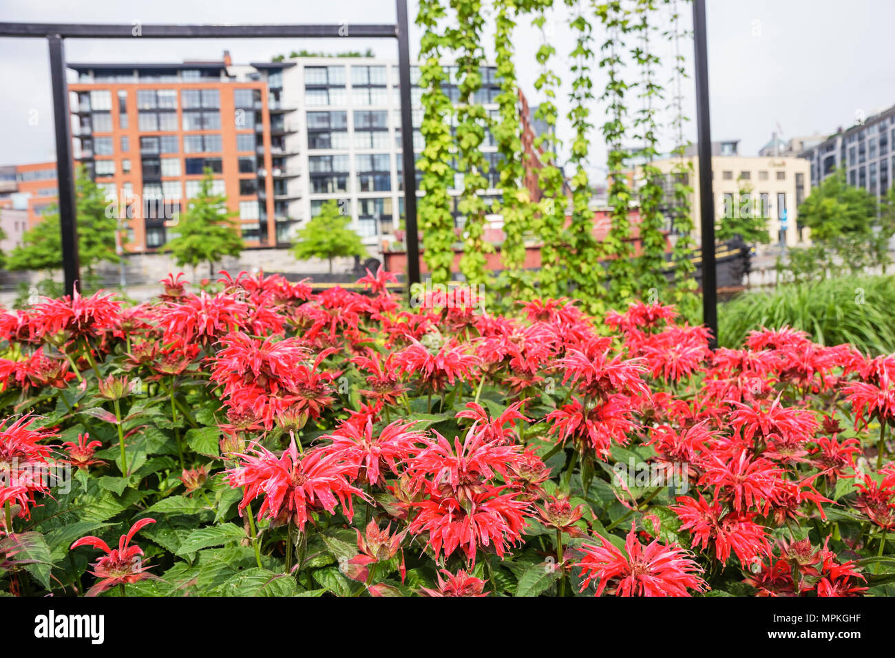 Montreal Canada,Quebec Province,International Flora Montreal Garden ...