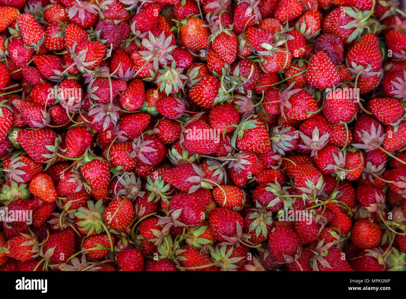 Strawberries in a box hi-res stock photography and images - Alamy