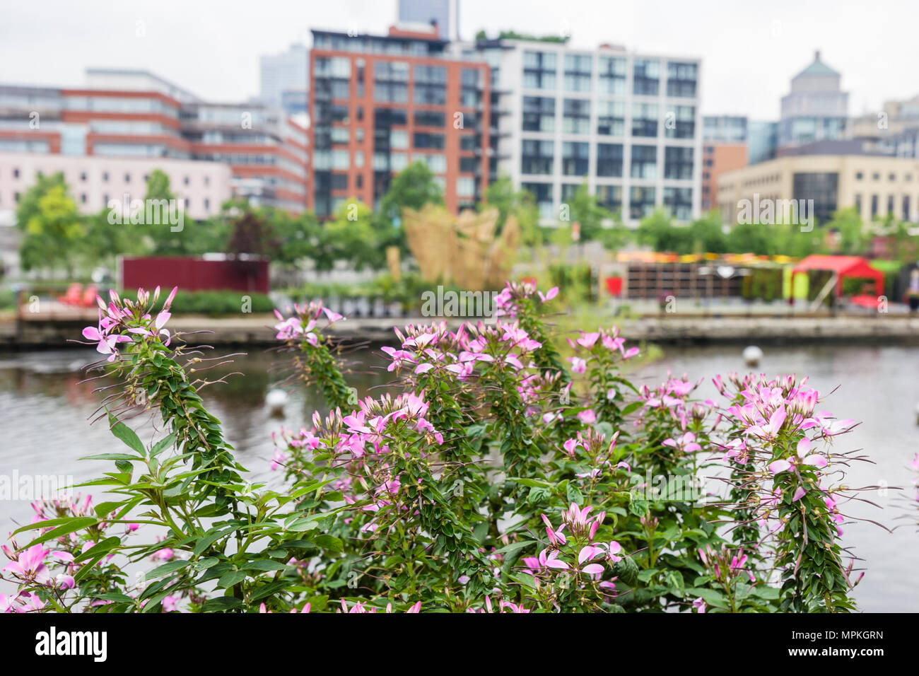 International flower festival hi-res stock photography and images - Alamy