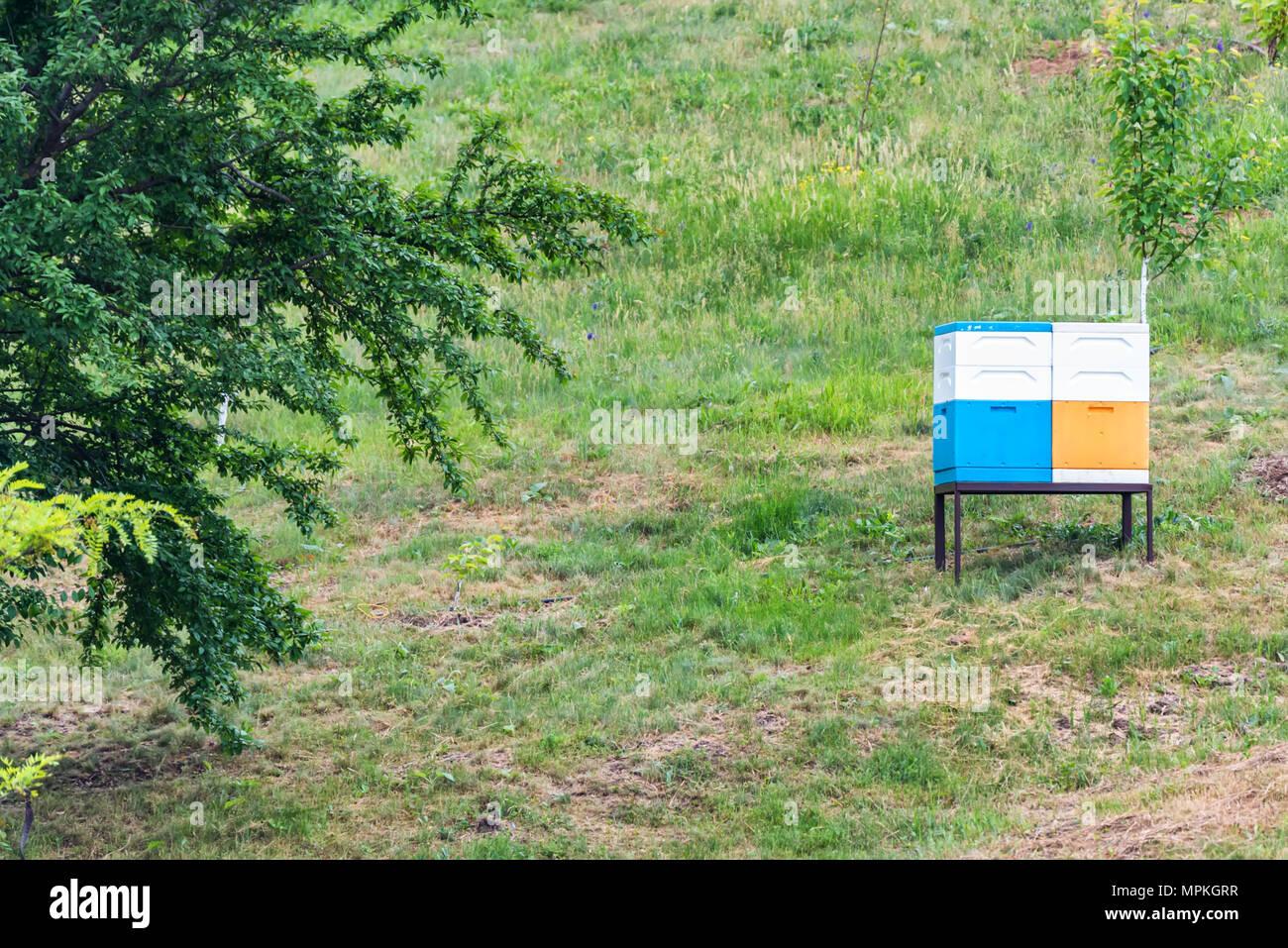 Modern bee hive hi-res stock photography and images - Alamy