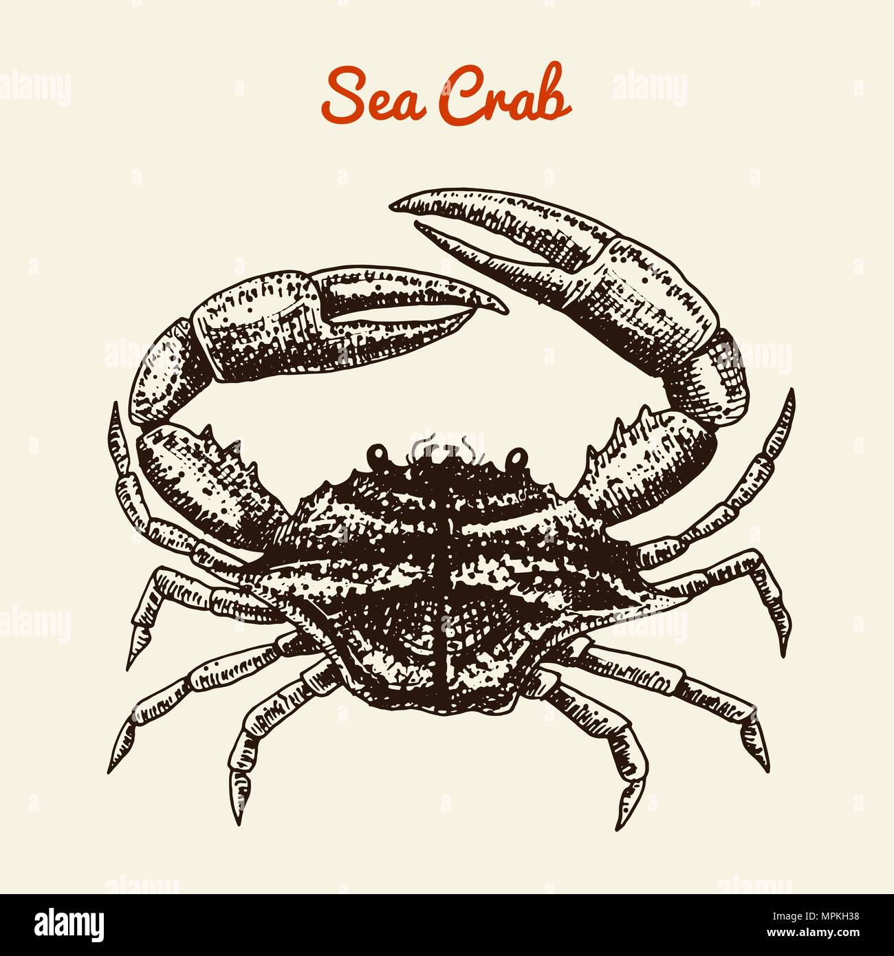 Fish in its claws Stock Vector Images - Alamy