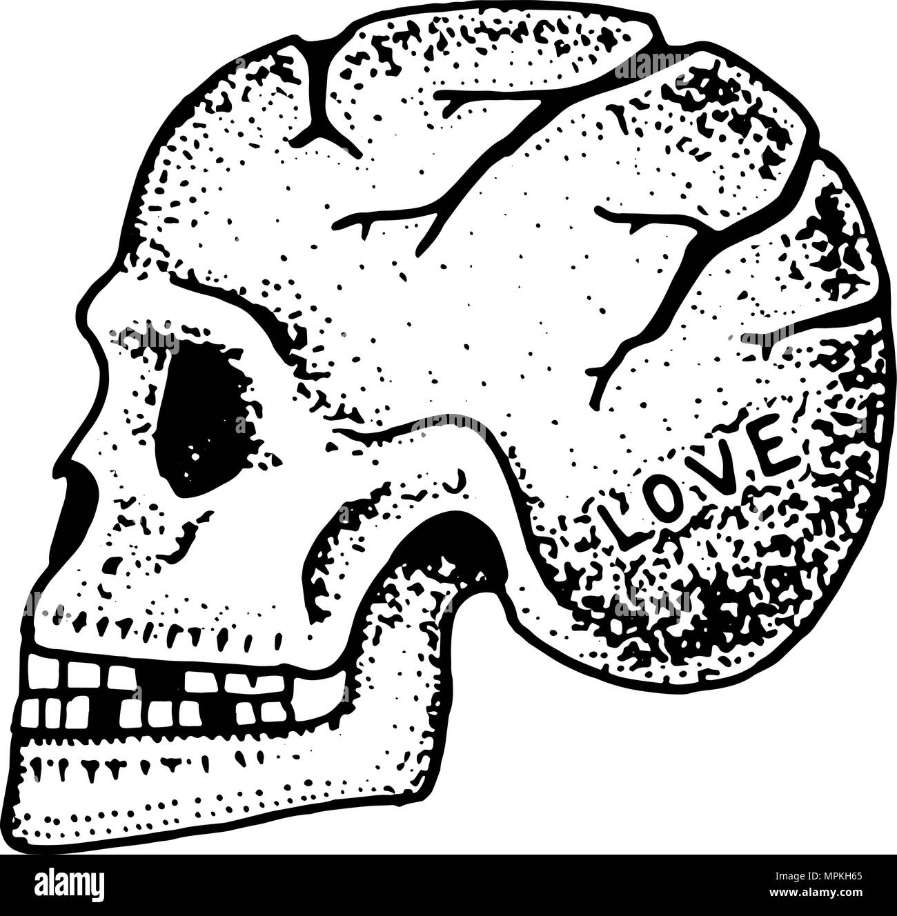 Anatomical human skull. Skeleton of the head. Fashion Tattoo artwork ...