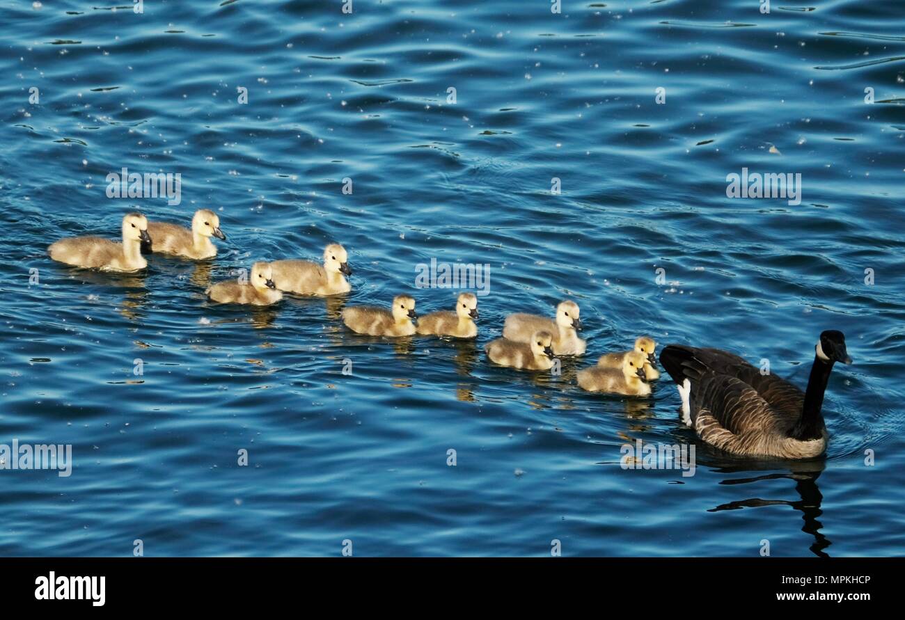 10 teenagers hi-res stock photography and images - Alamy