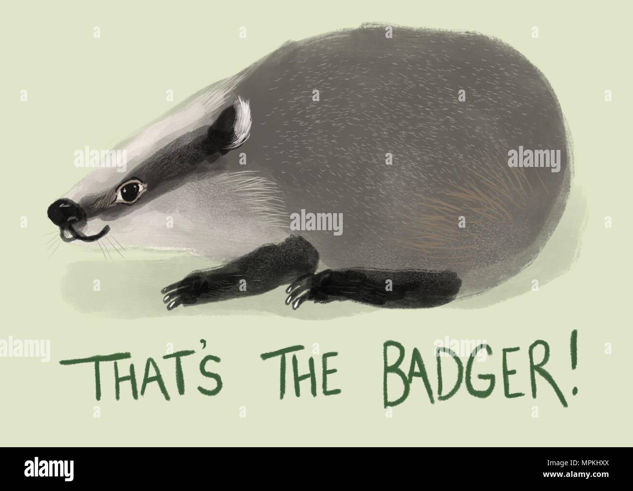 illustration of a cute badger Stock Photo - Alamy
