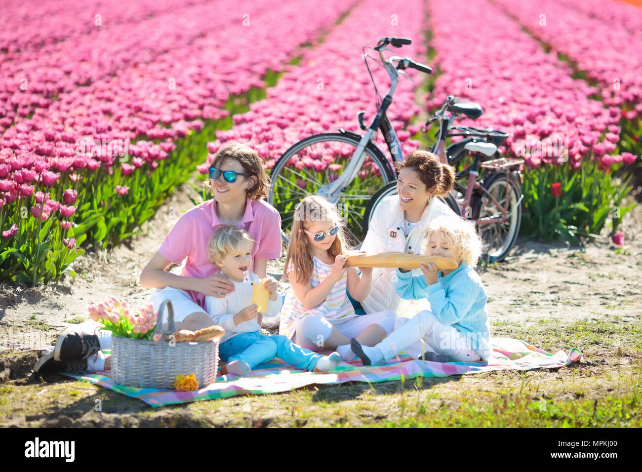 Family picnic at tulip flowers fields in Holland. Young mother and ...