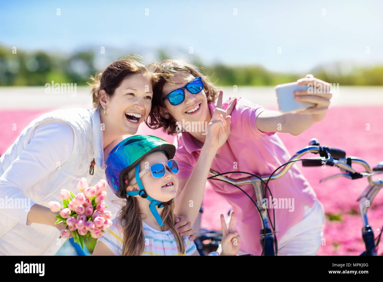 Dutch family riding bicycle in tulip flower fields in Netherlands ...
