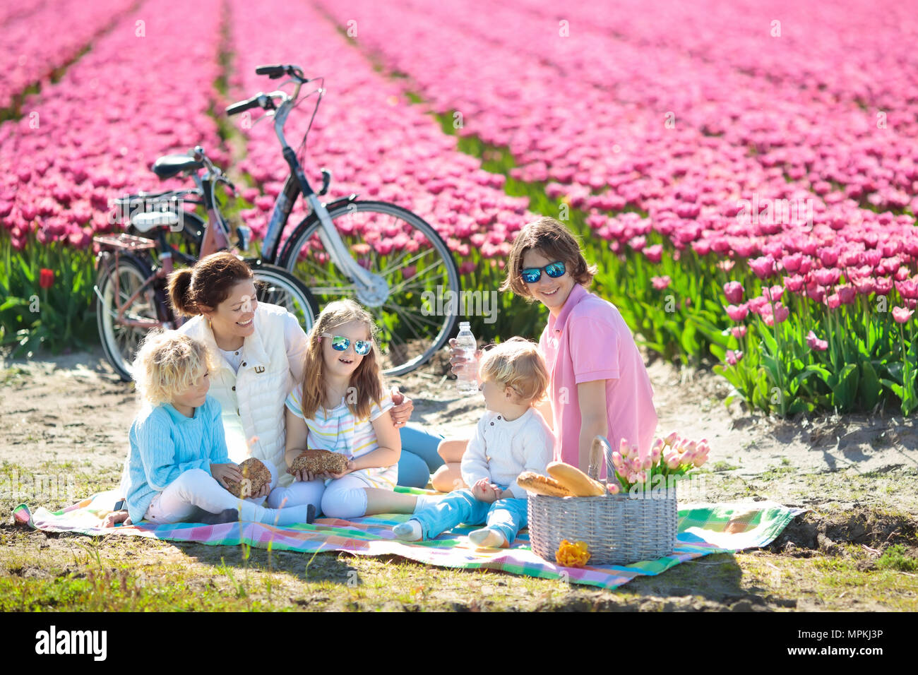 Family picnic at tulip flowers fields in Holland. Young mother and ...