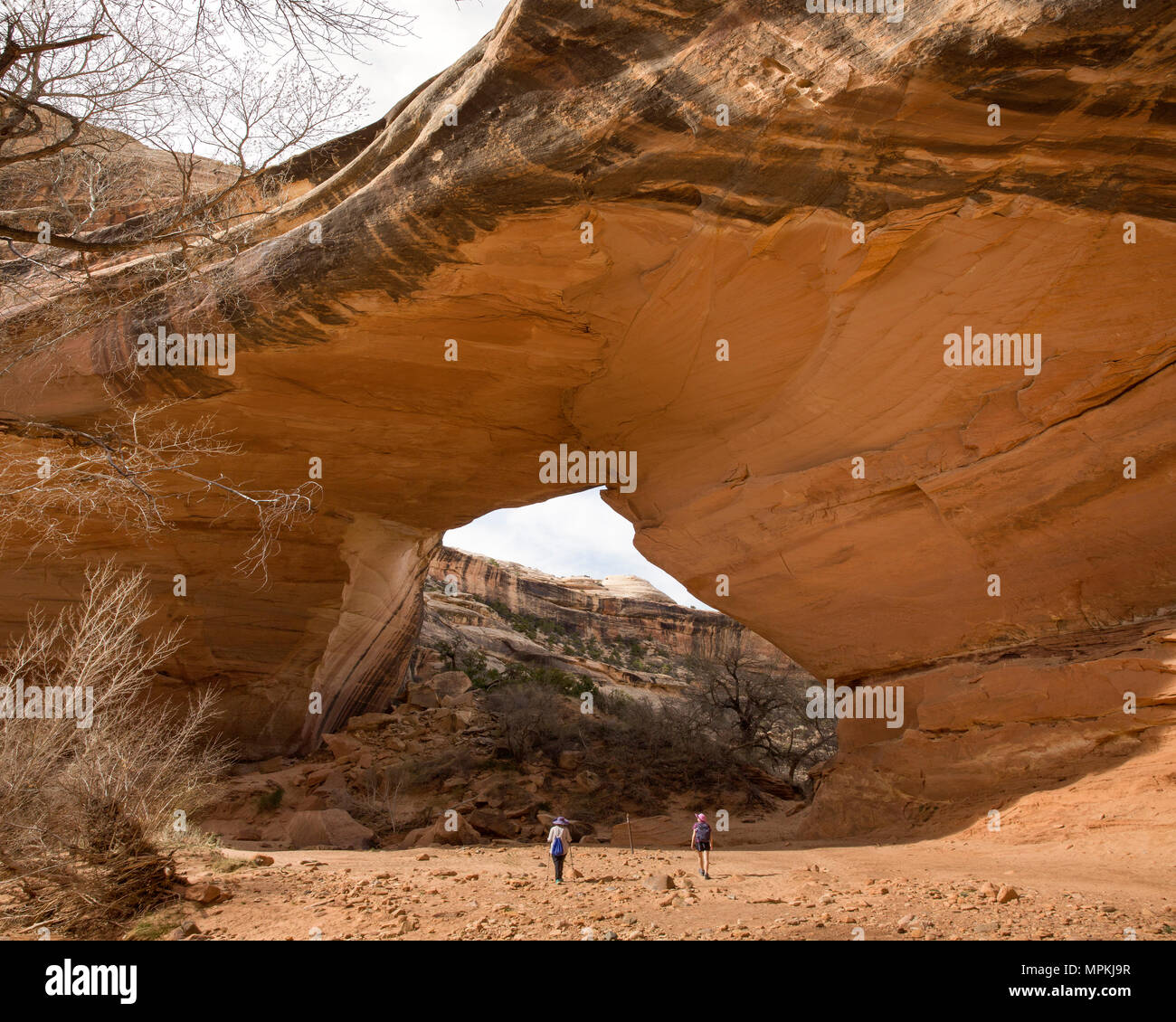 Hikers at Kachina Bridge in the Natural Bridges National Monument, Utah ...