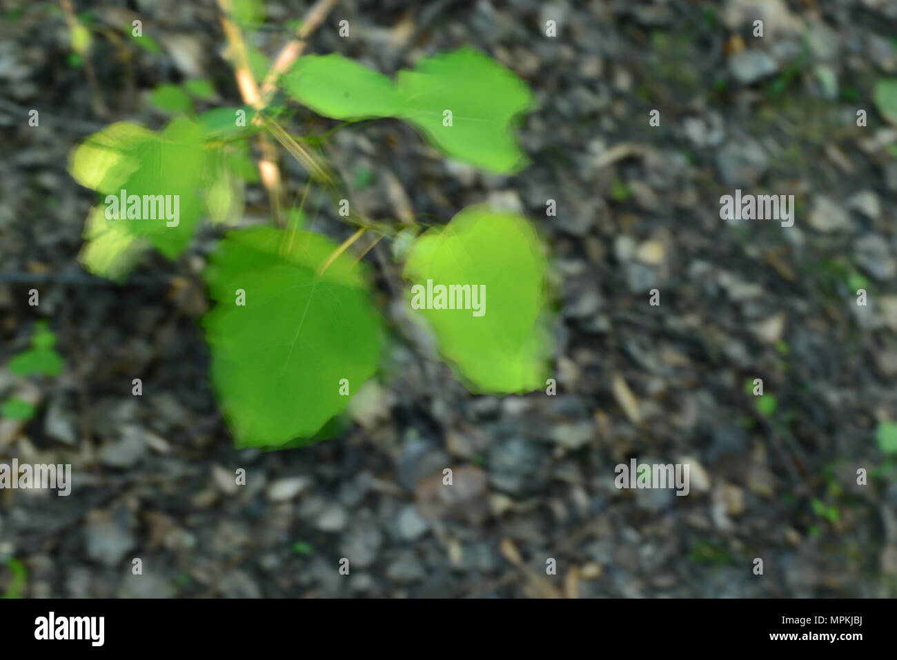 Strong motion hi-res stock photography and images - Alamy