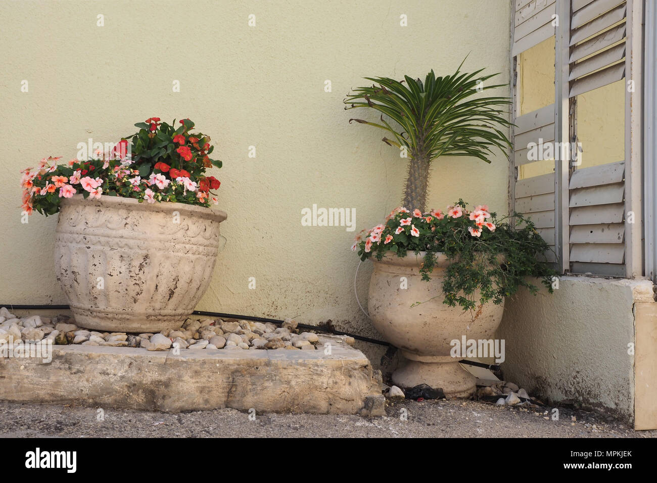 Two vintage stone big white vases for a yard with flowers near the ...