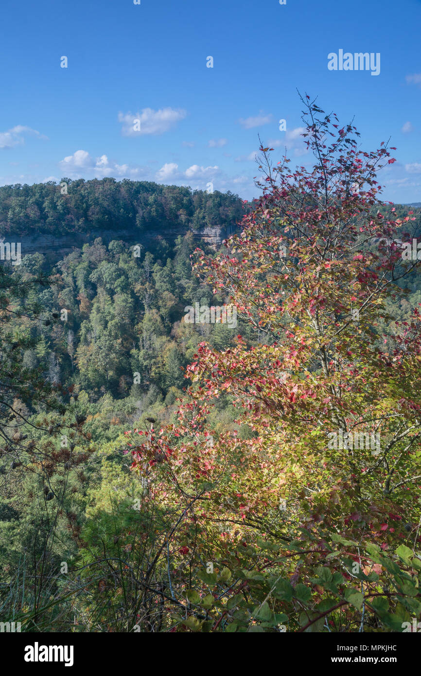 Gorge overlook hi-res stock photography and images - Alamy