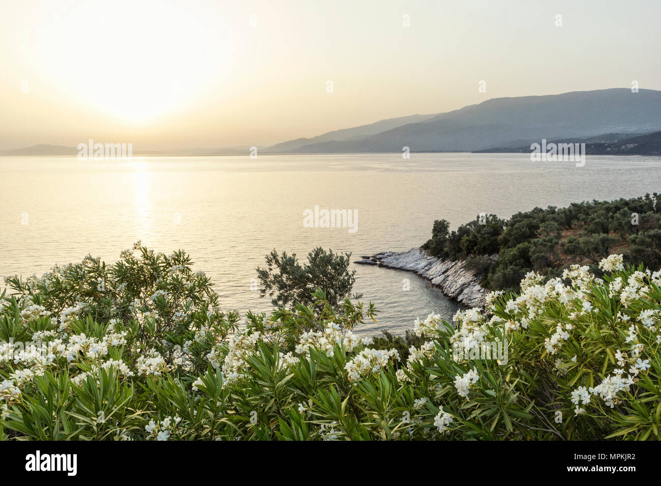 Thessalia hi-res stock photography and images - Alamy