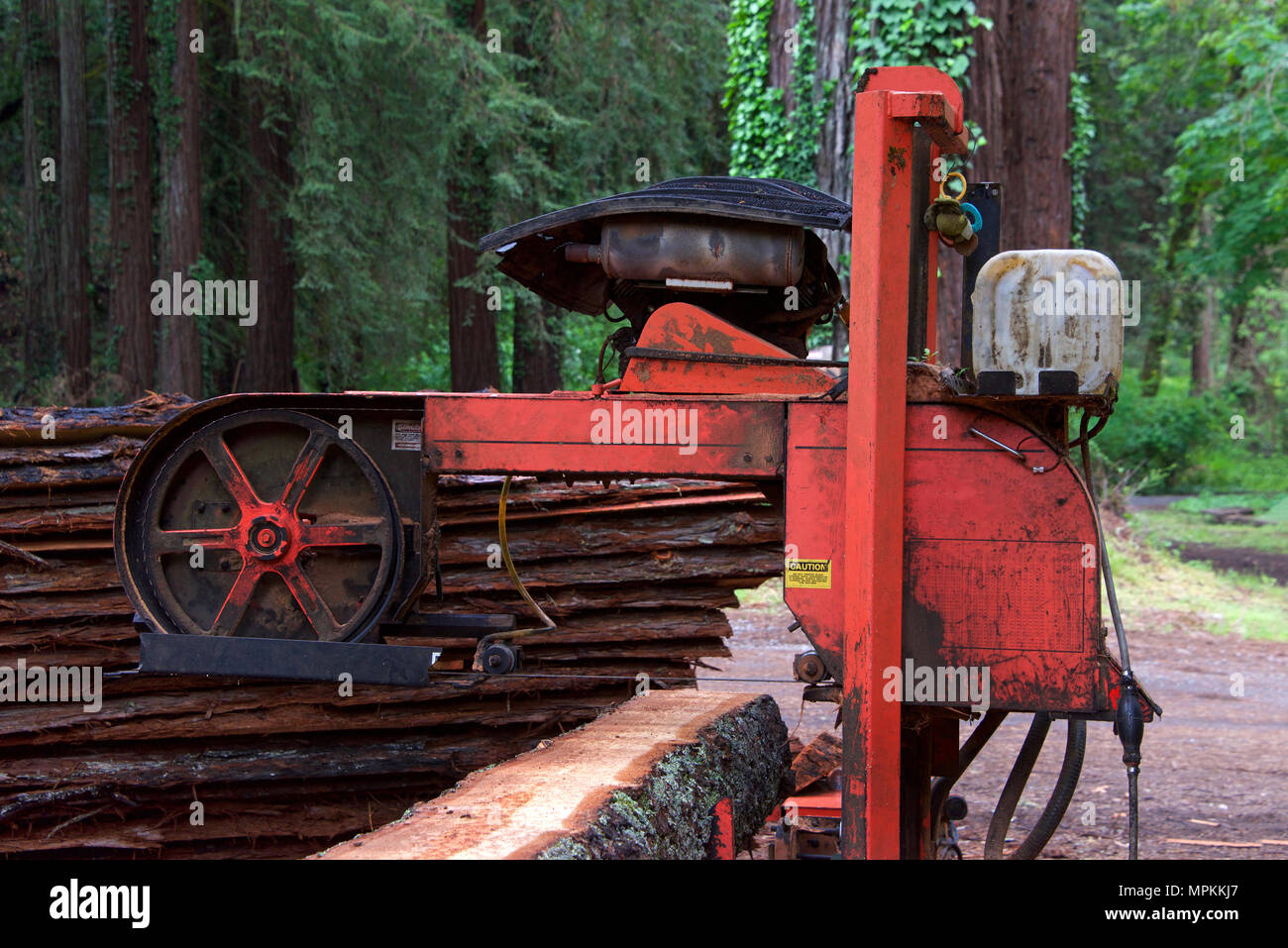 Tree trunk log on saw bed with one side of bark leveled off. A log ...