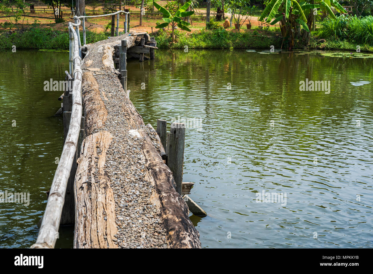 Stone walking path thailand hi-res stock photography and images - Alamy