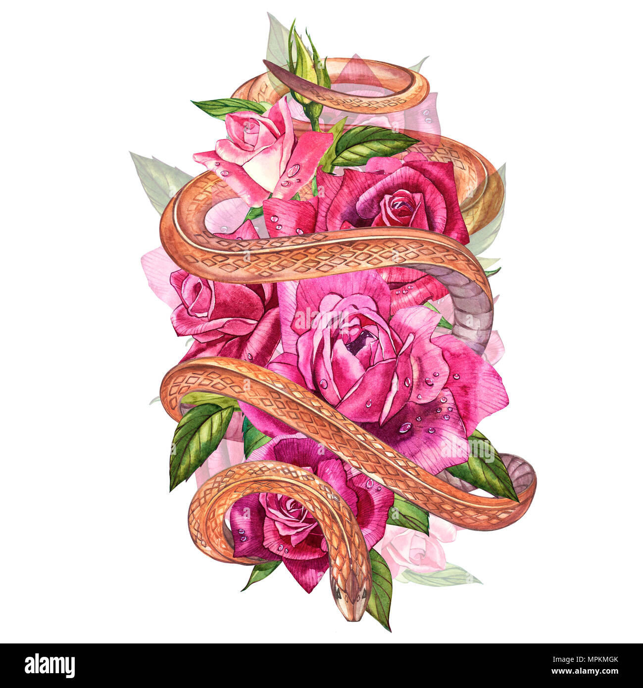 Japanese tattoo art illustration snake hi-res stock photography and ...