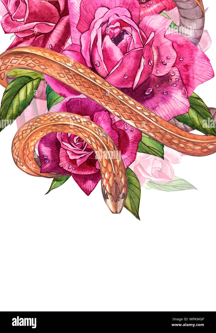 Snake with beautiful garden roses. Compositions of red and pink roses ...