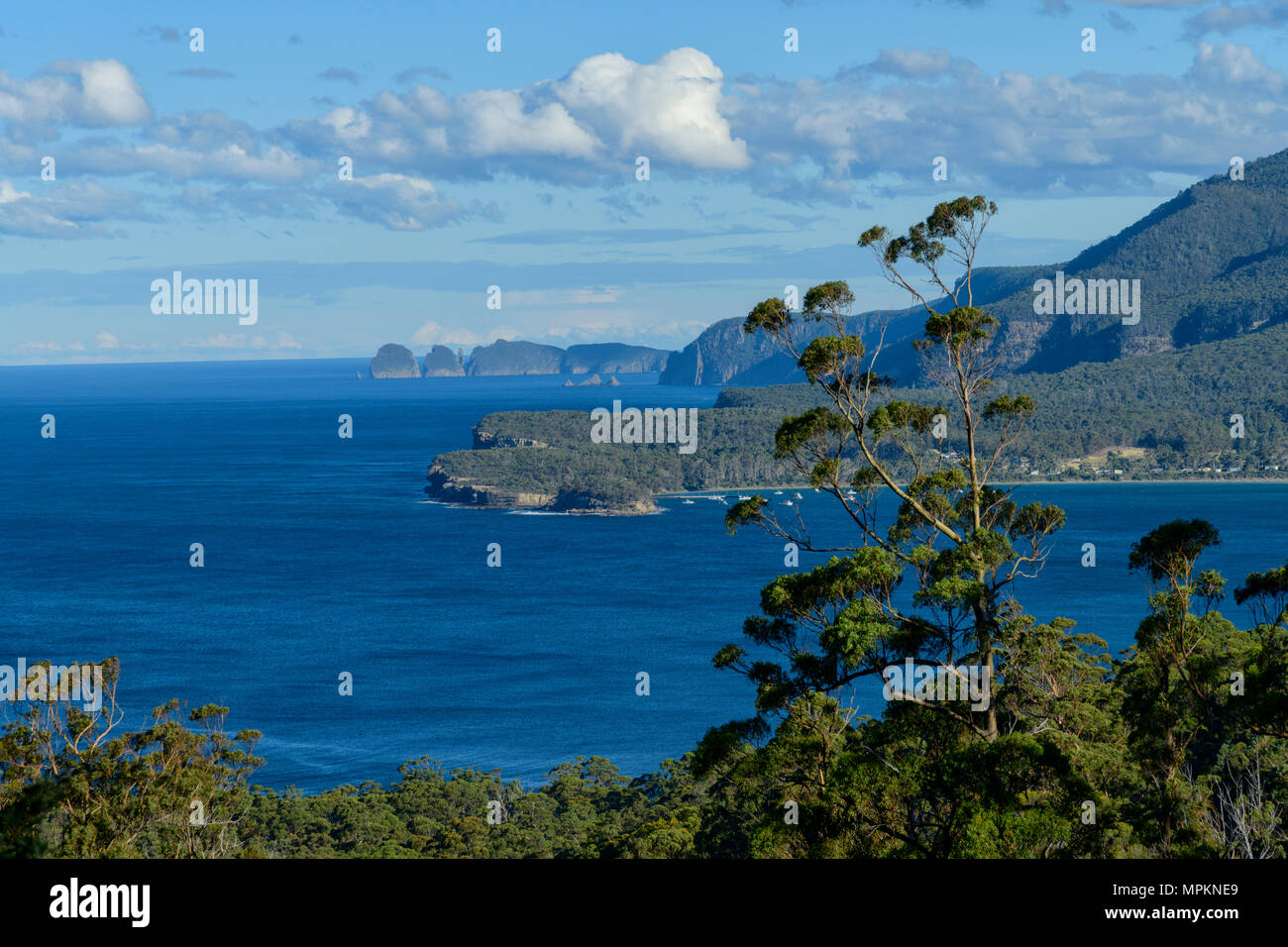 Oceania, Australia; Australian, Tasmania; Tasman Peninsula, Eaglehawk ...