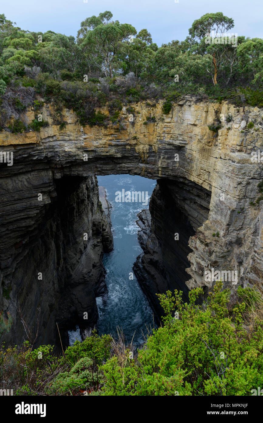 Oceania, Australia; Australian; Tasmania;Tasman Peninsula, Tasman ...