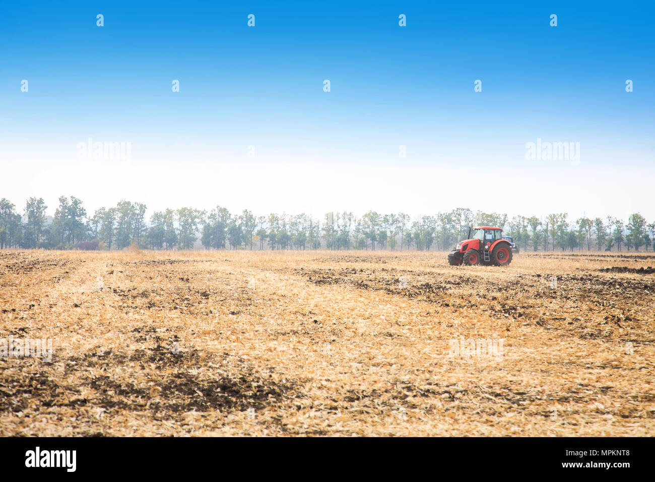 Modern red tractor in the field on a bright sunny day Stock Photo - Alamy