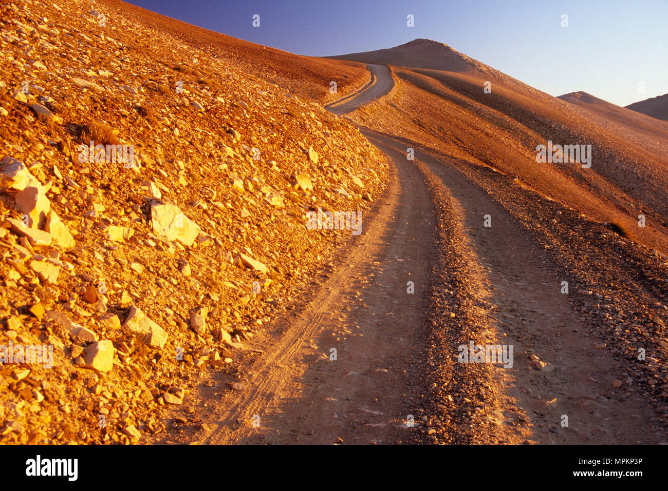 White Mountain road, Ancient Bristlecone Pine Forest, Ancient ...