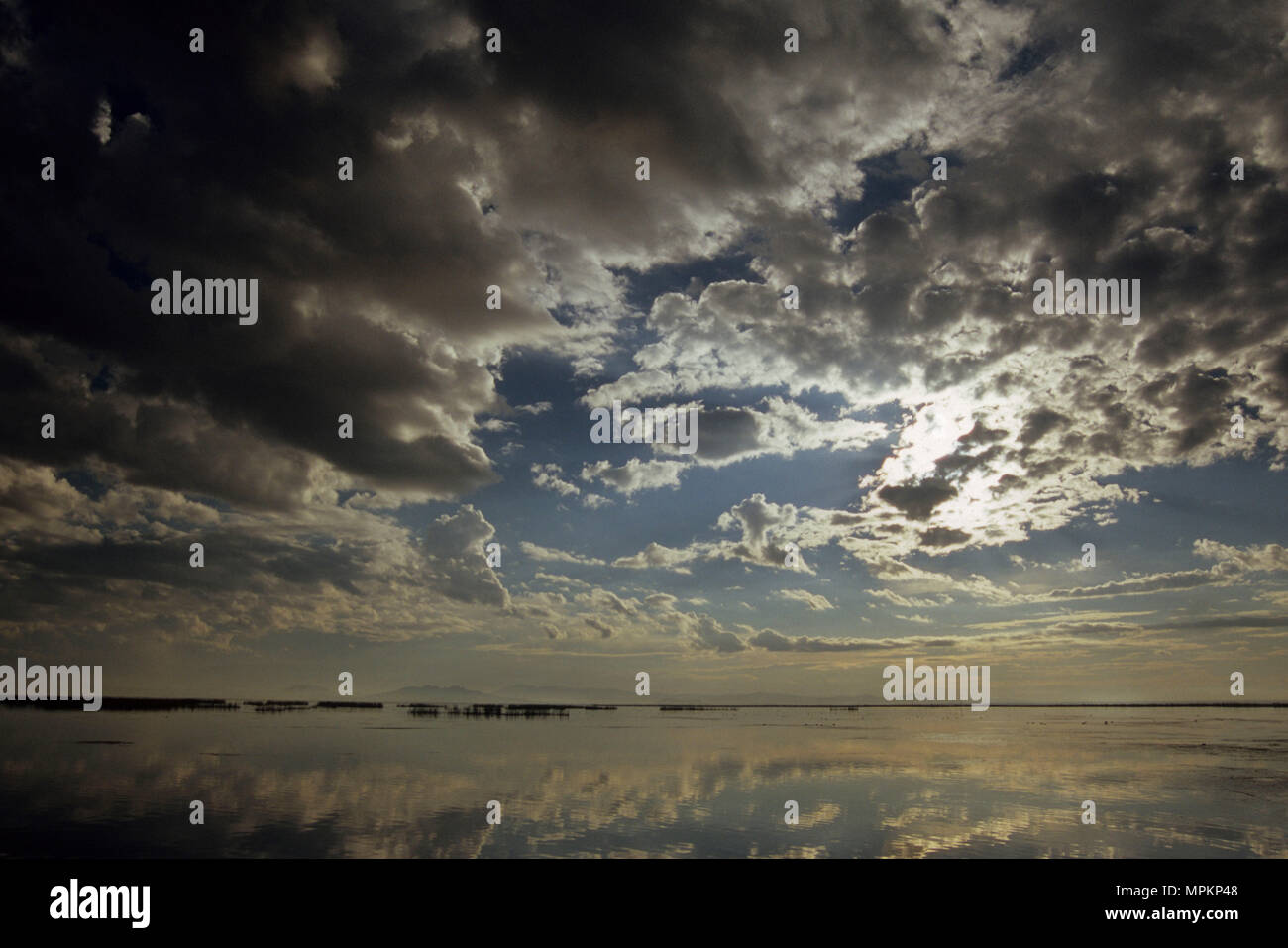 Marsh with clouds, Tule Lake National Wildlife Refuge, California Stock ...