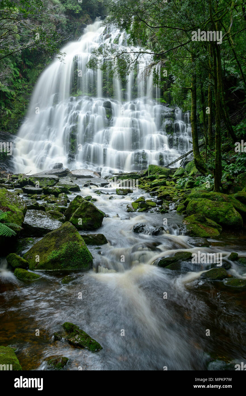 Australia; Tasmania; Franklin-Gordon Wild Rivers National Park; Nelson ...