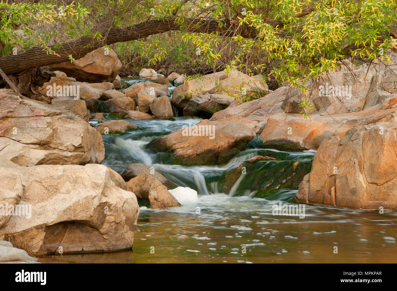 Riparian reserve hi-res stock photography and images - Alamy