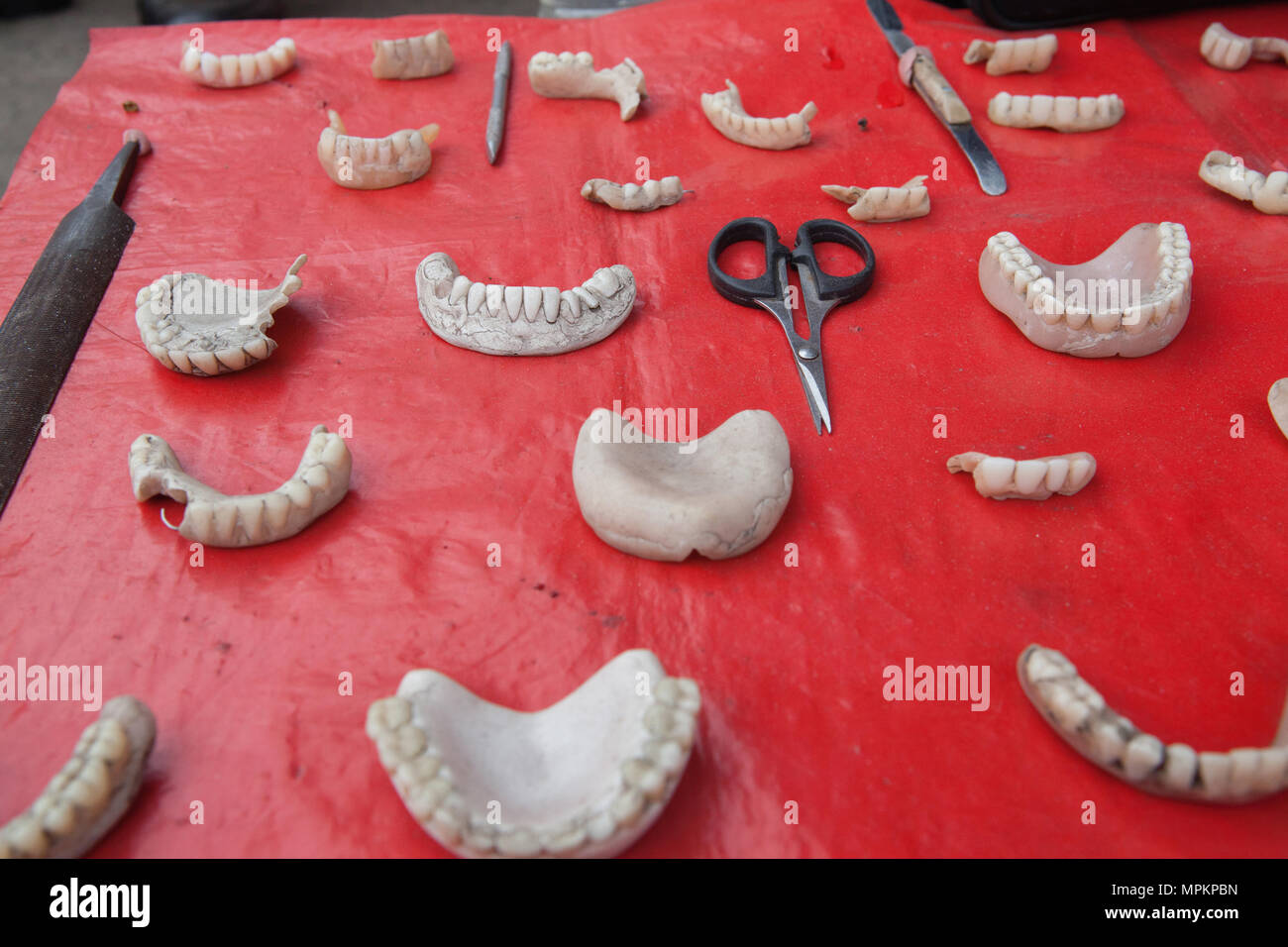 Dental display false teeth hi-res stock photography and images - Alamy