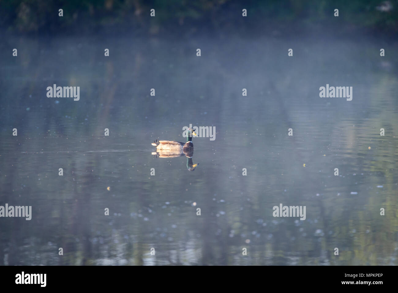 Scotland uk lockerbie spring hi-res stock photography and images - Alamy