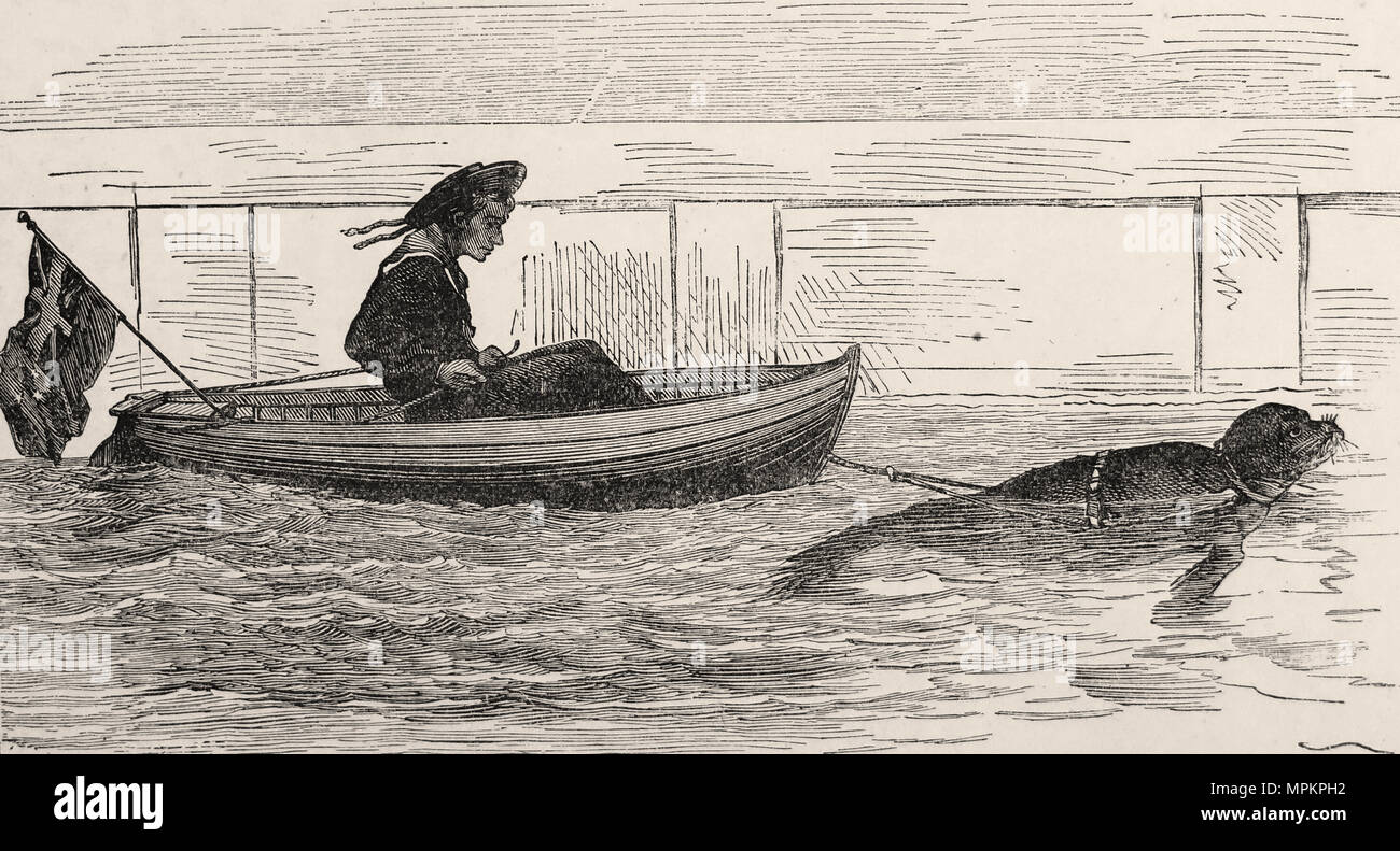 Trained seal drawing canoe from "Popular Scientific Recreations" by ...