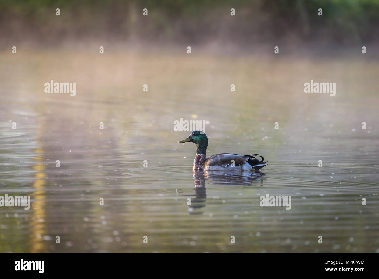Scotland uk lockerbie spring hi-res stock photography and images - Alamy
