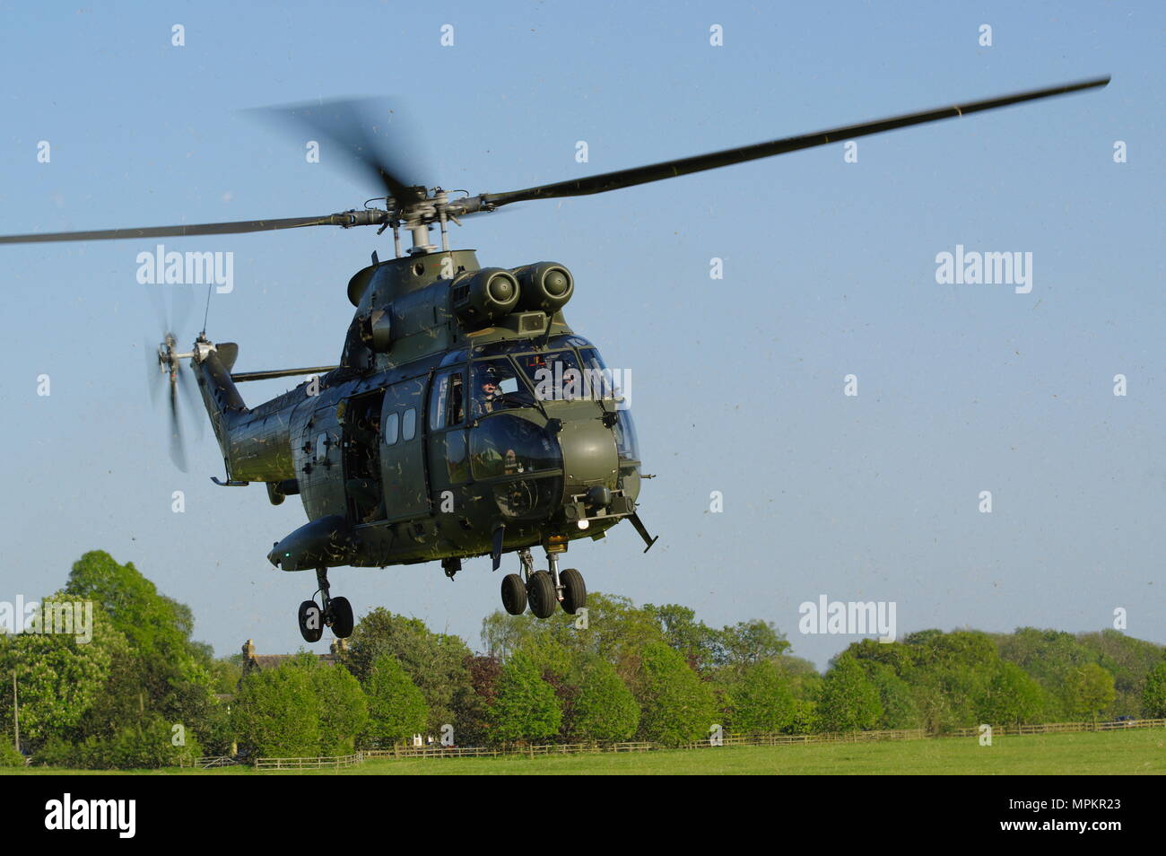Sa330 Puma High Resolution Stock Photography and Images - Alamy