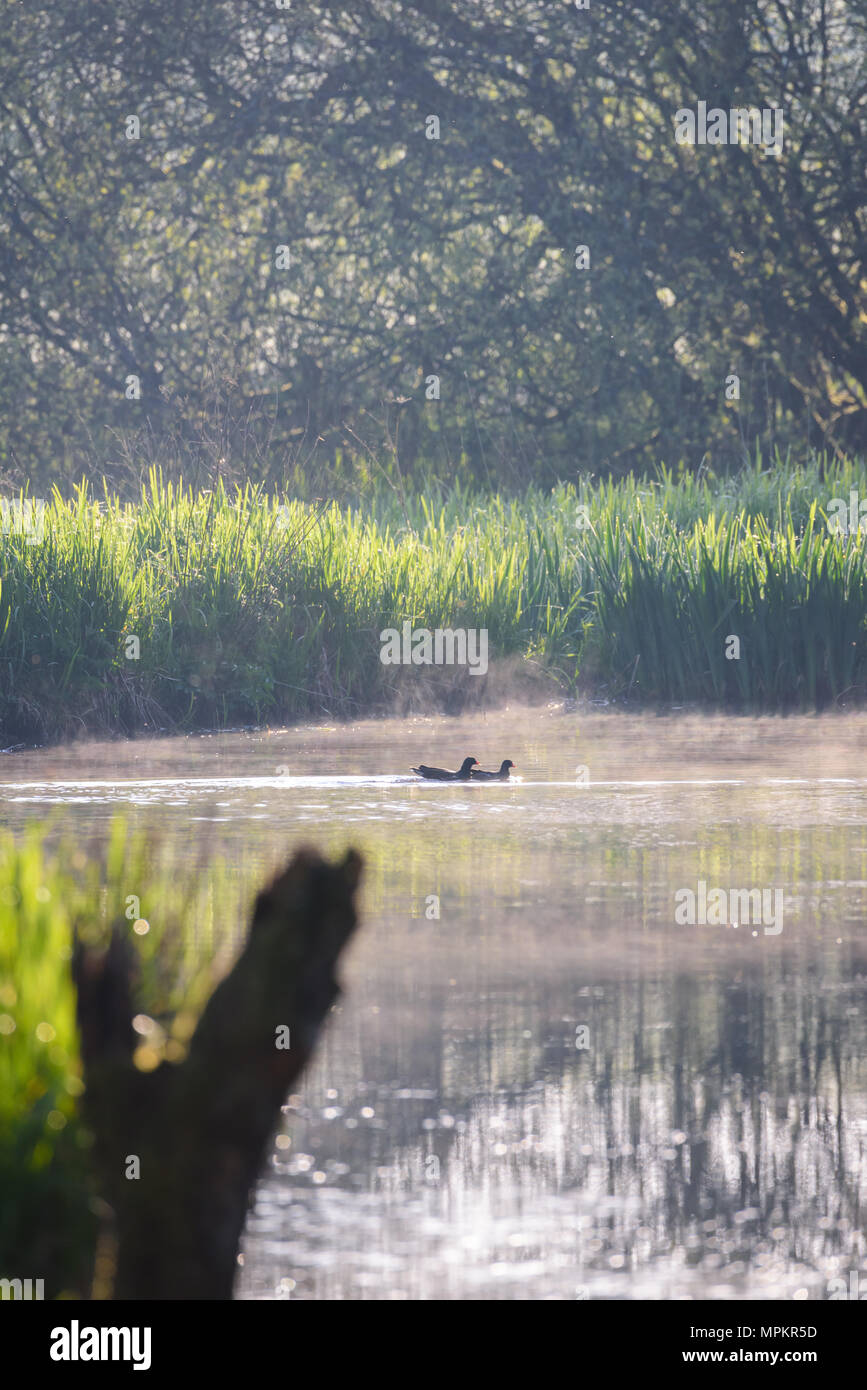 Scotland uk lockerbie spring hi-res stock photography and images - Alamy
