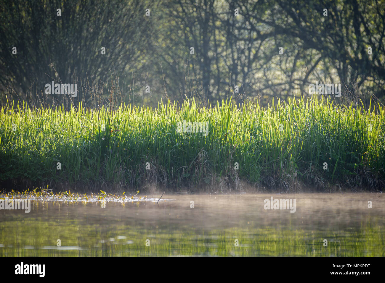 Scotland uk lockerbie spring hi-res stock photography and images - Alamy