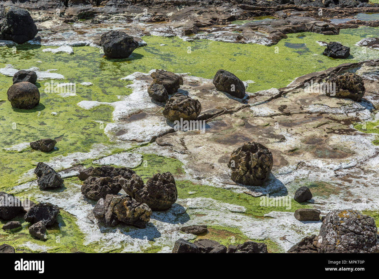 Concretions in sandstone hi-res stock photography and images - Alamy