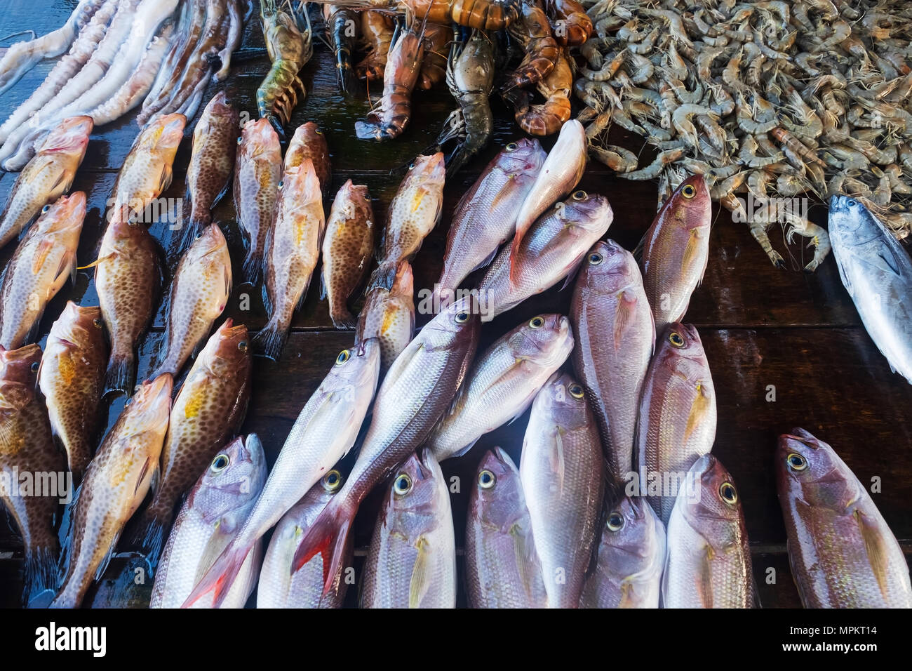Fresh fish in the market close up Stock Photo - Alamy