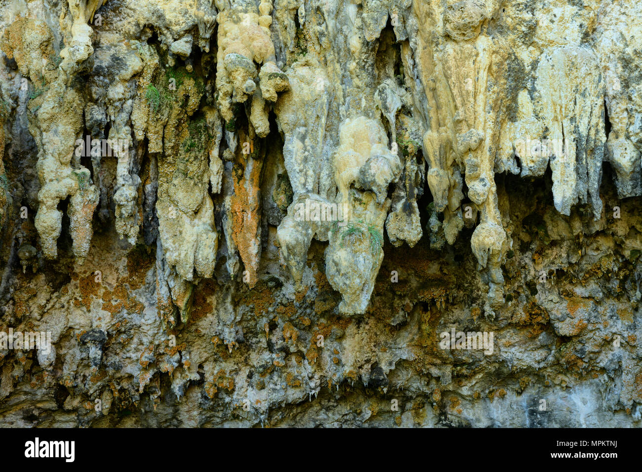 Oceania; Australia; Australian; Down Under; Victoria; Port Campbell ...