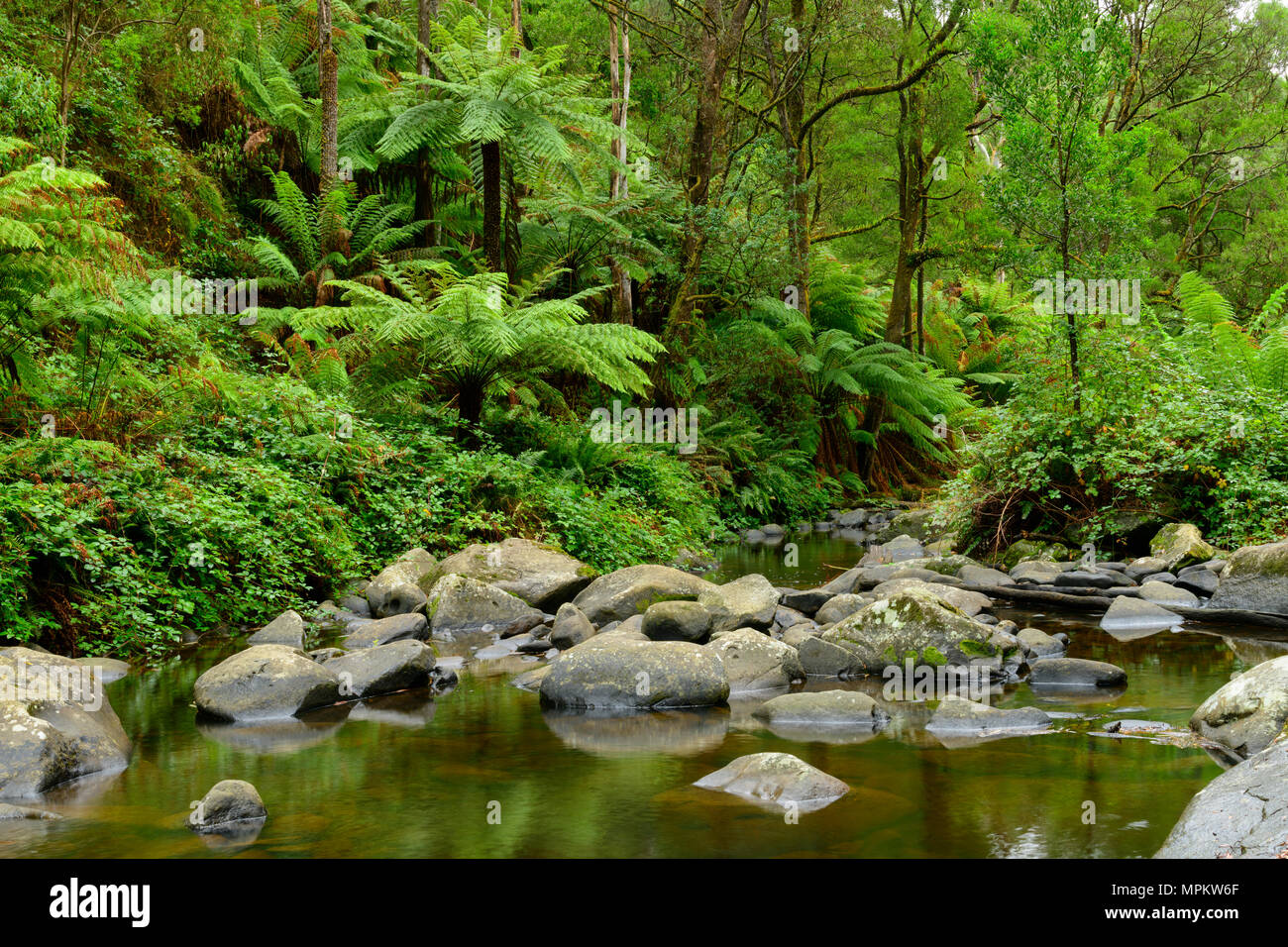 Oceania; Australia; Australian; Down Under; Victoria; Great Otway ...