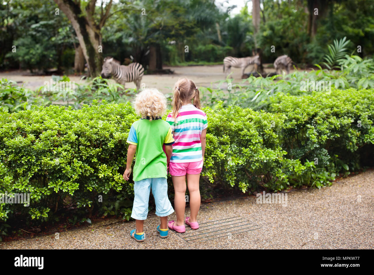 Family watching zebra in zoo. Boy and girl in tropical safari park ...