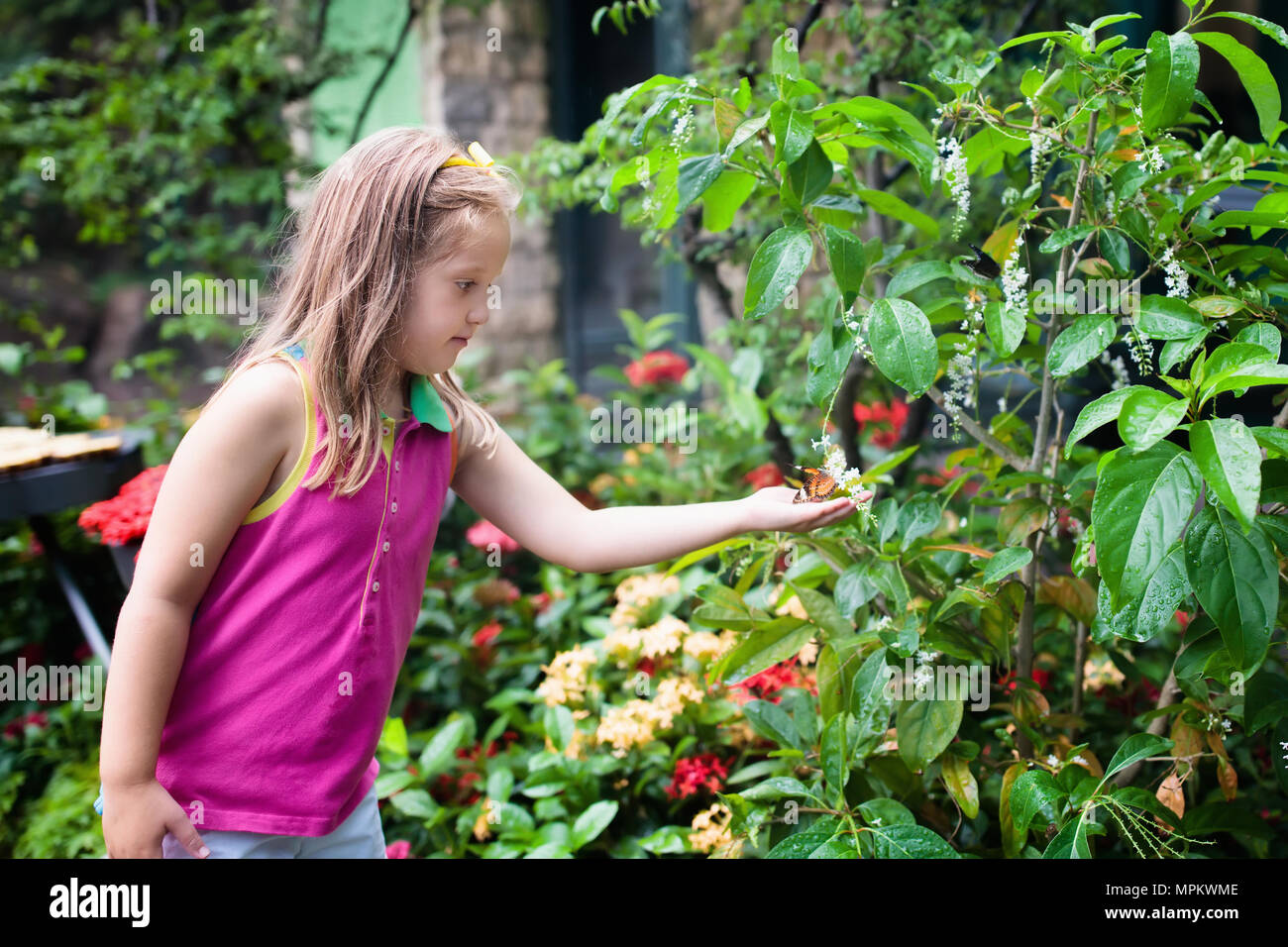 Child watching butterfly at tropical garden. Little girl feeding exotic ...