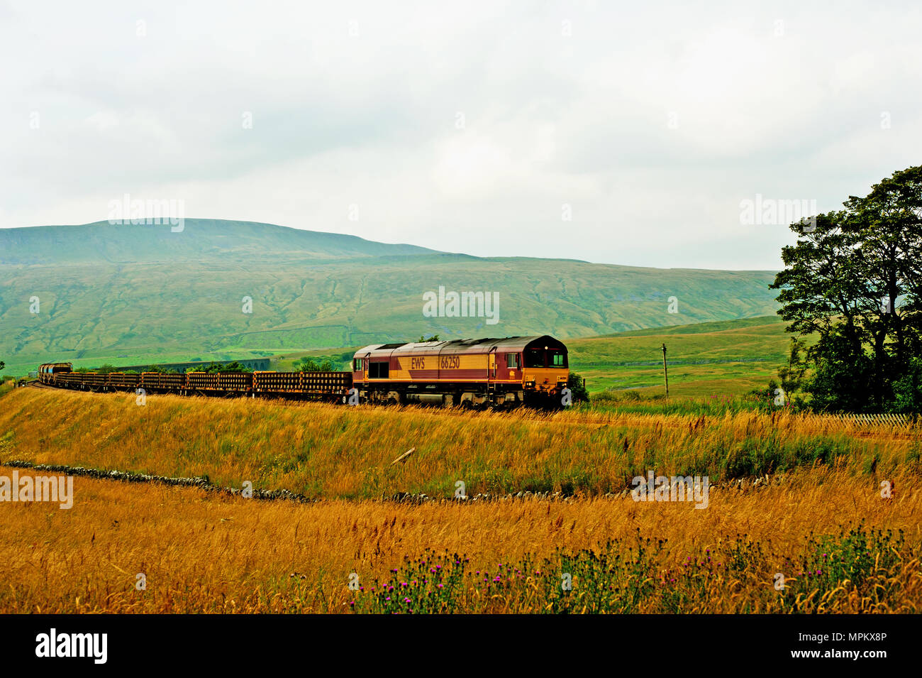 Carisle hi-res stock photography and images - Alamy